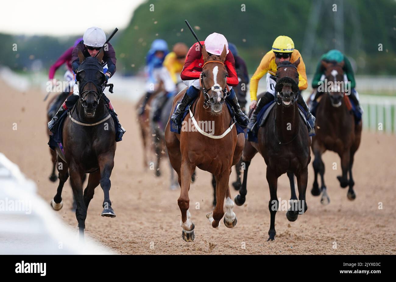 Sophosc hi-res stock photography and images - Alamy