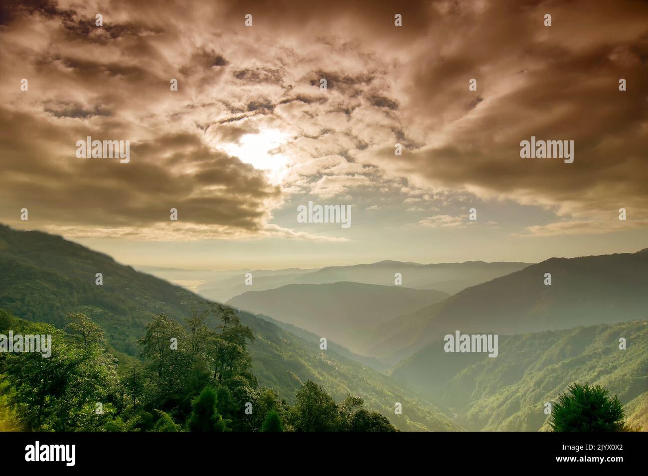 Hill above treeline hi-res stock photography and images - Alamy