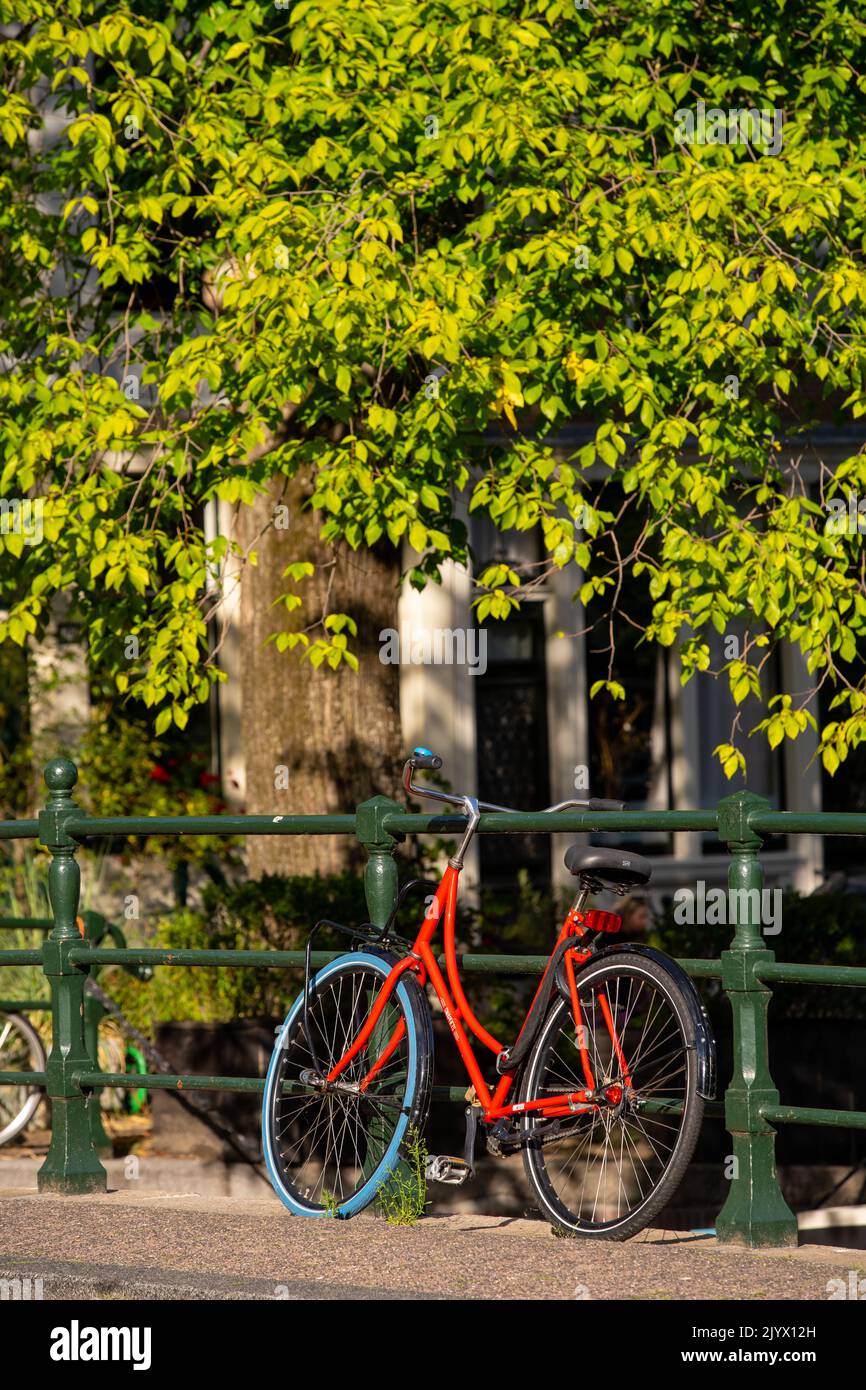 Bicycle of Amsterdam, Netherlands Stock Photo - Alamy