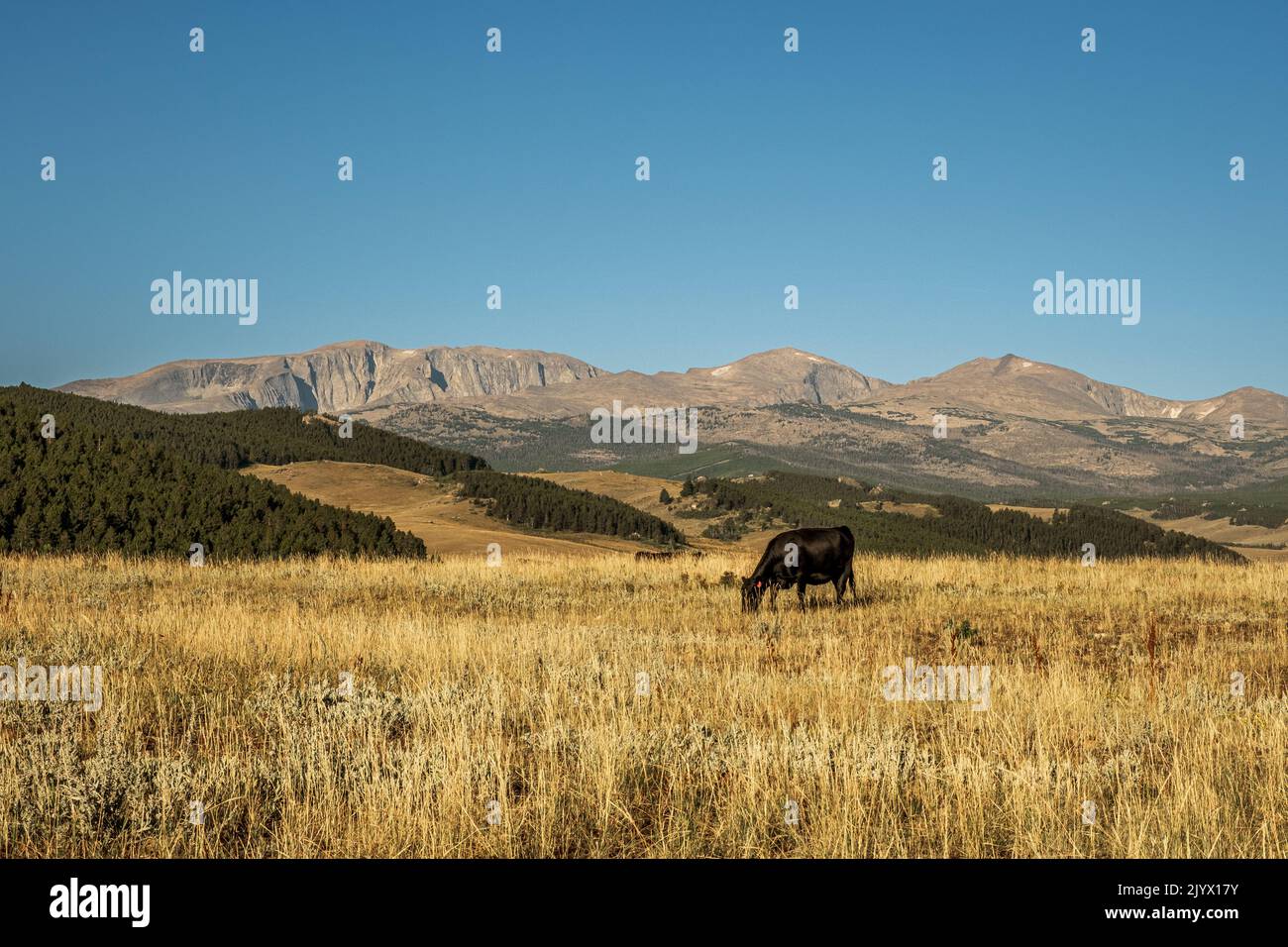 Farm rural wyoming hi-res stock photography and images - Alamy