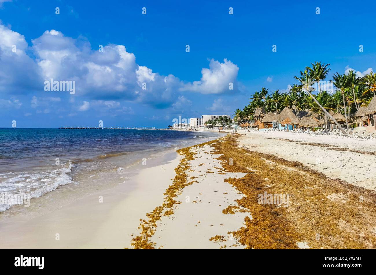 Tropical mexican beach landscape panorama with clear turquoise blue ...