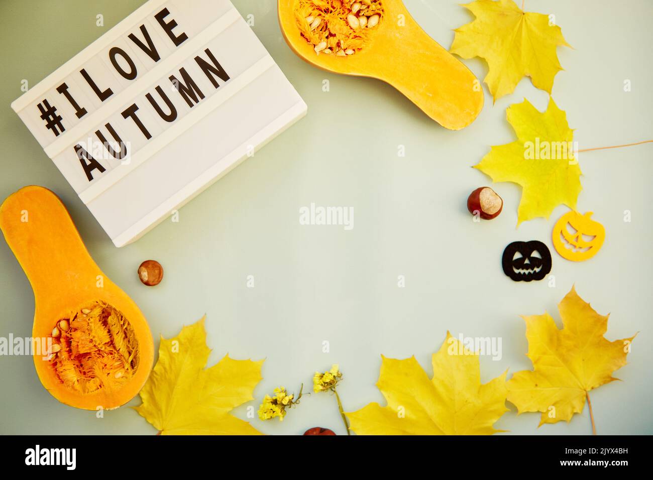 Aesthetic autumn decorations background. Text hashtag I love autumn ...