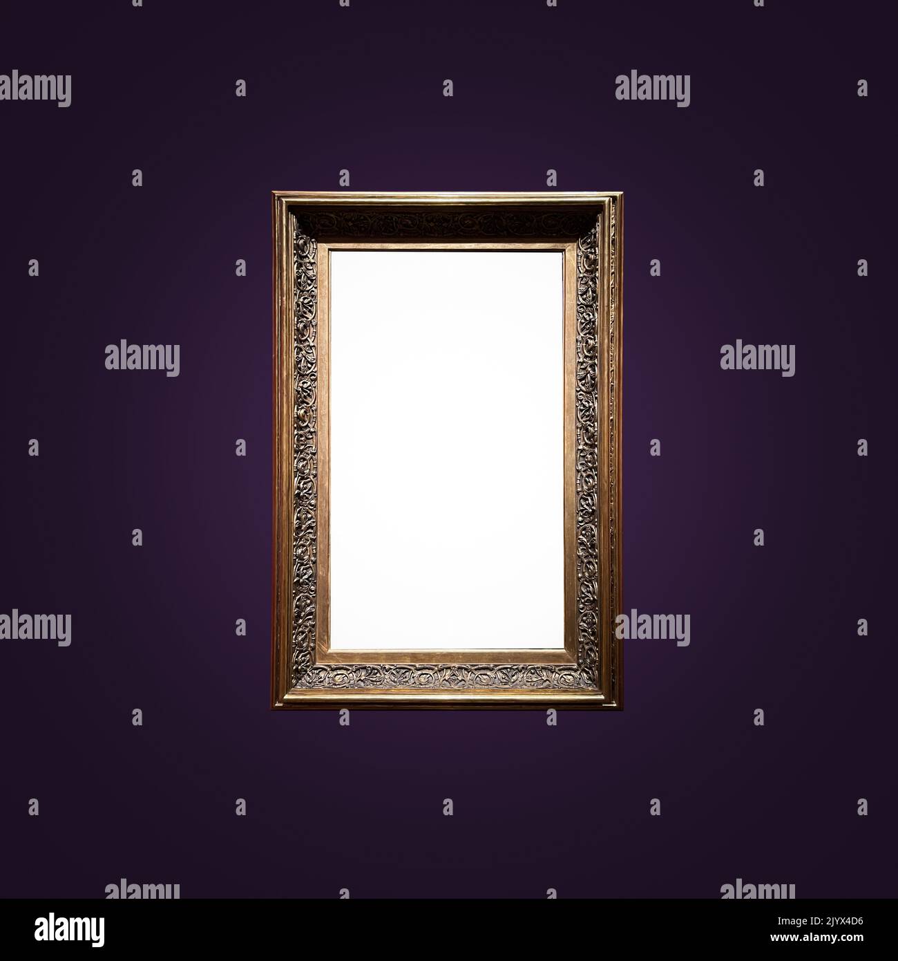 Antique art fair gallery frame on royal purple wall at auction house or ...