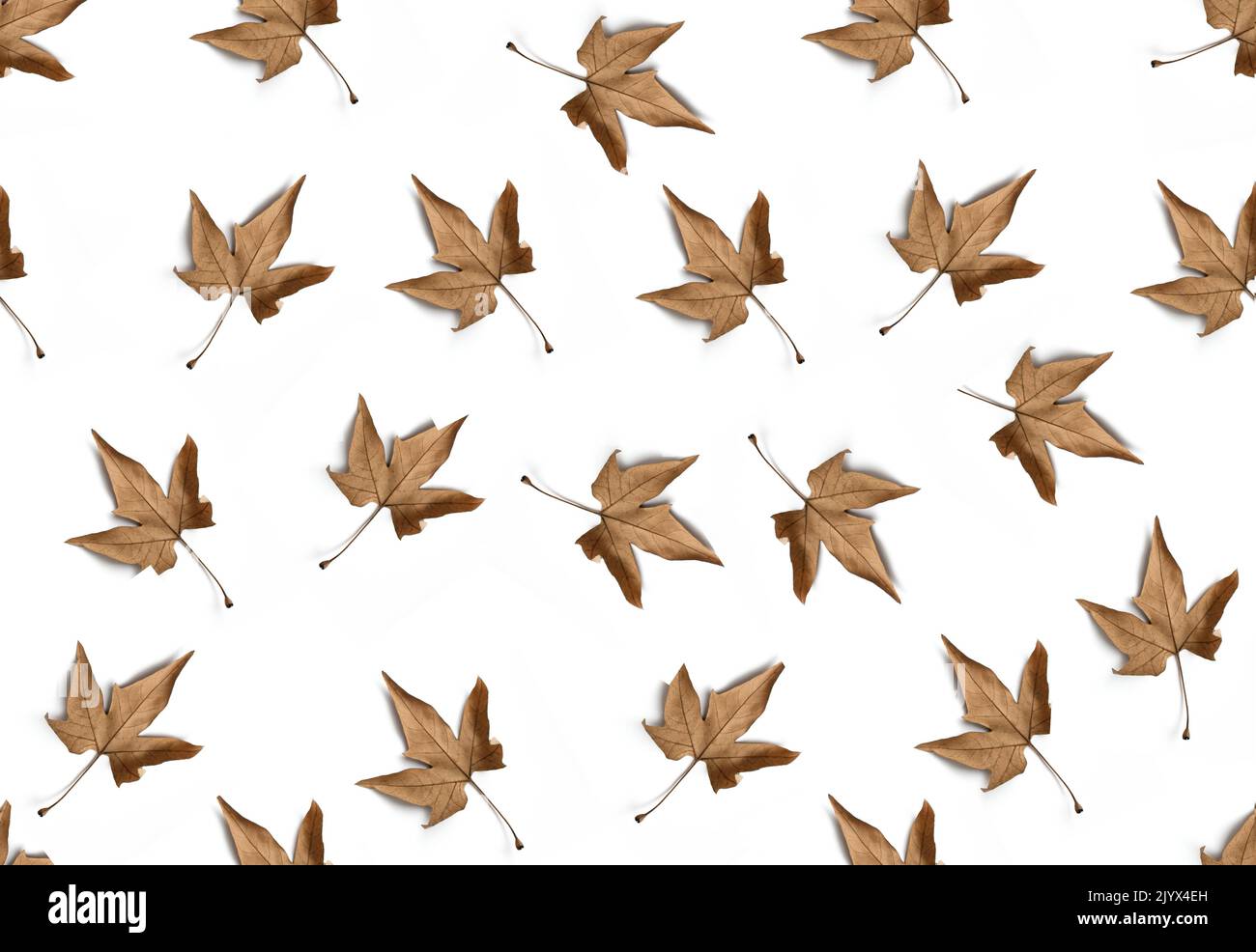 Minimal seamless floral pattern hi-res stock photography and images - Alamy