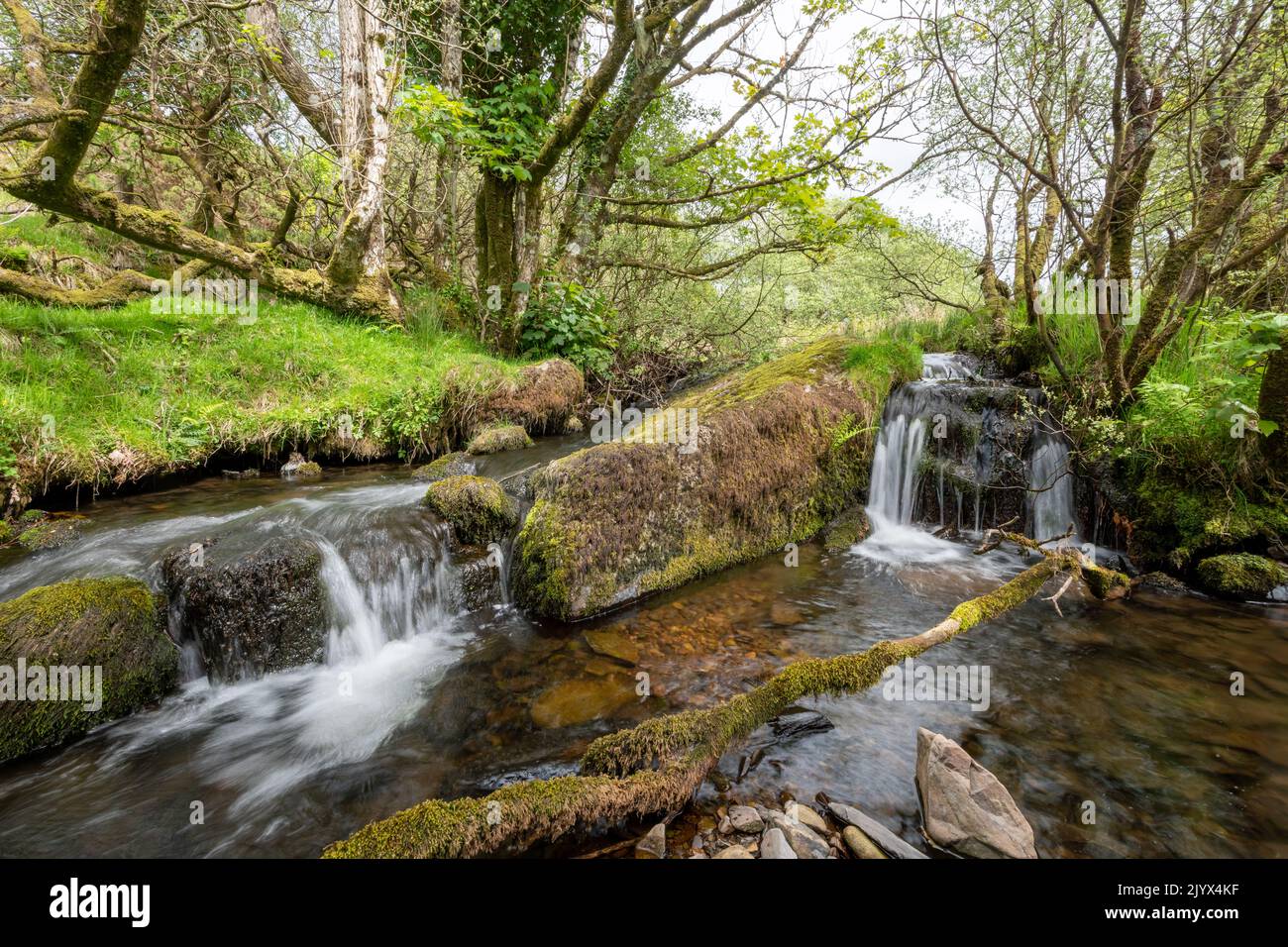 Long exposure of the Weir Water river flowing through the valley at ...