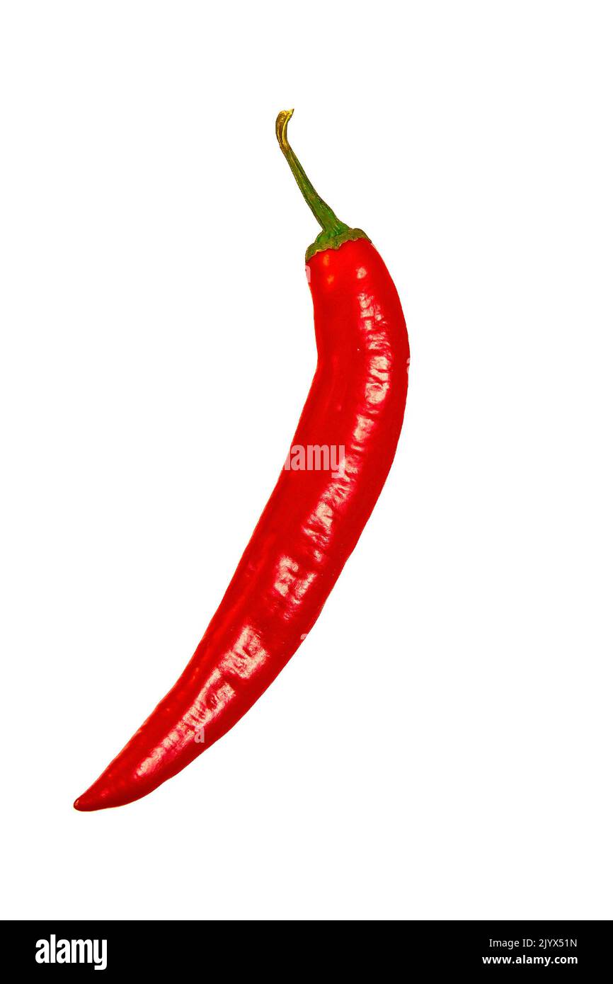 Red Hot Pepper String Isolated on White Background, Clipping Path ...