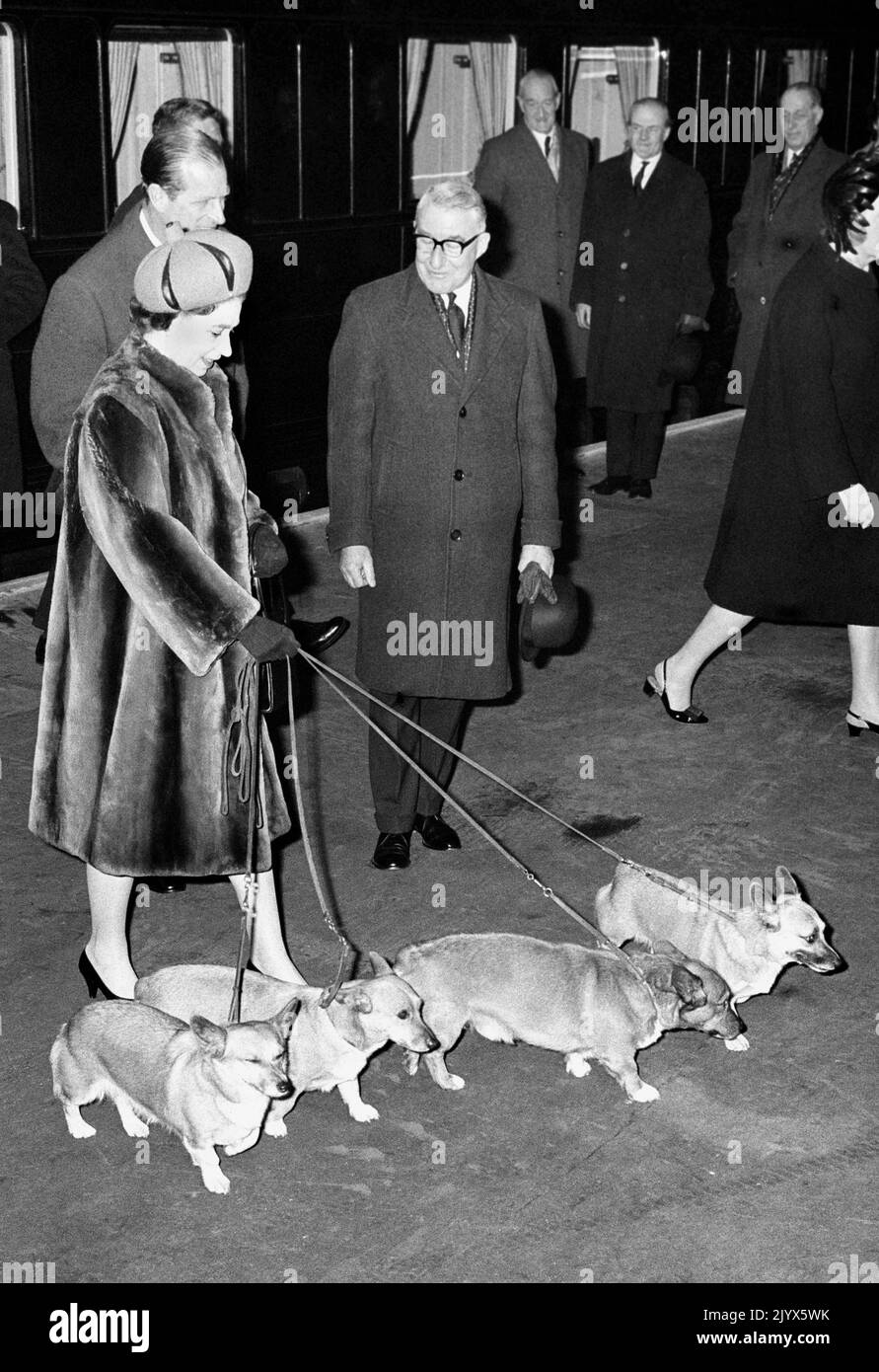 File photo dated 08/02/1968 of Queen Elizabeth II holding four corgis ...