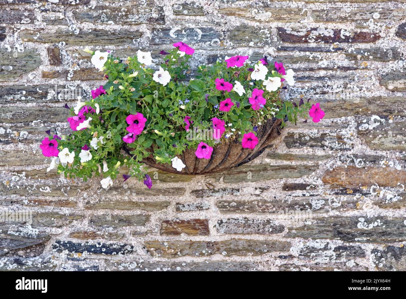 Rustic garden rural village - garden ideas and small garden design ...