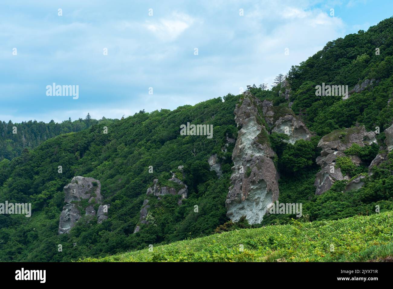 coastal landscape, beautiful lava rocks on the wooded coast of Kunashir ...