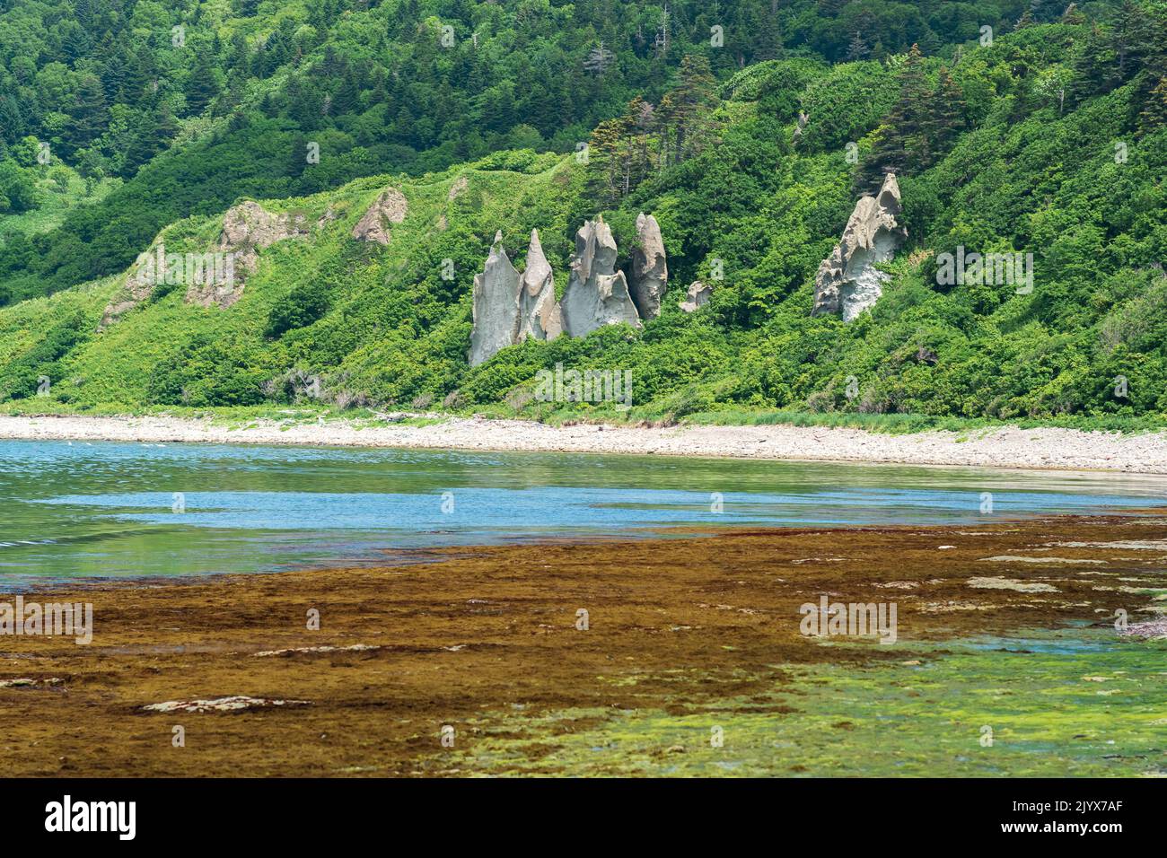 coastal landscape, beautiful lava rocks on the green coast of Kunashir ...