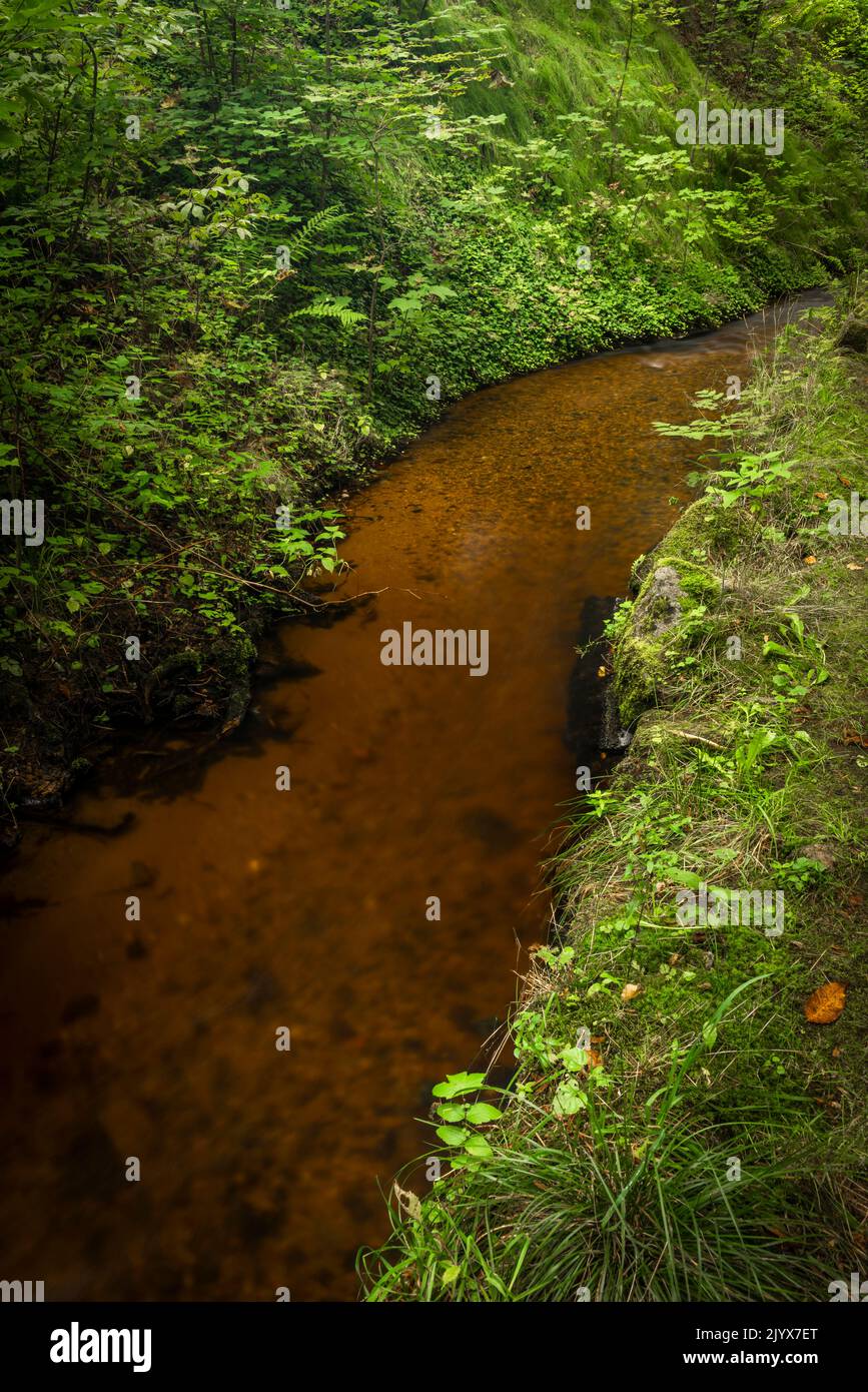 Mensi vltavice hi-res stock photography and images - Alamy