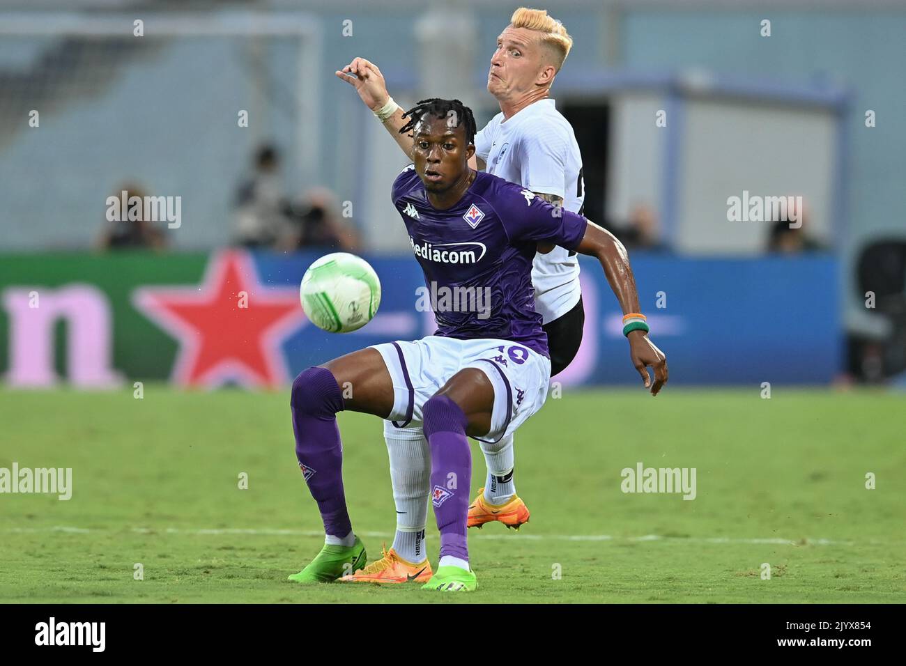 Mares petr rfs hi-res stock photography and images - Alamy