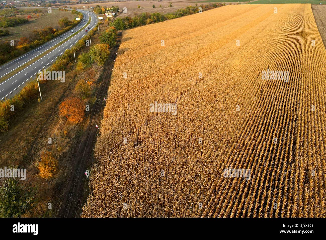 car driving on asphalt road. Road seen from the air. Aerial view ...