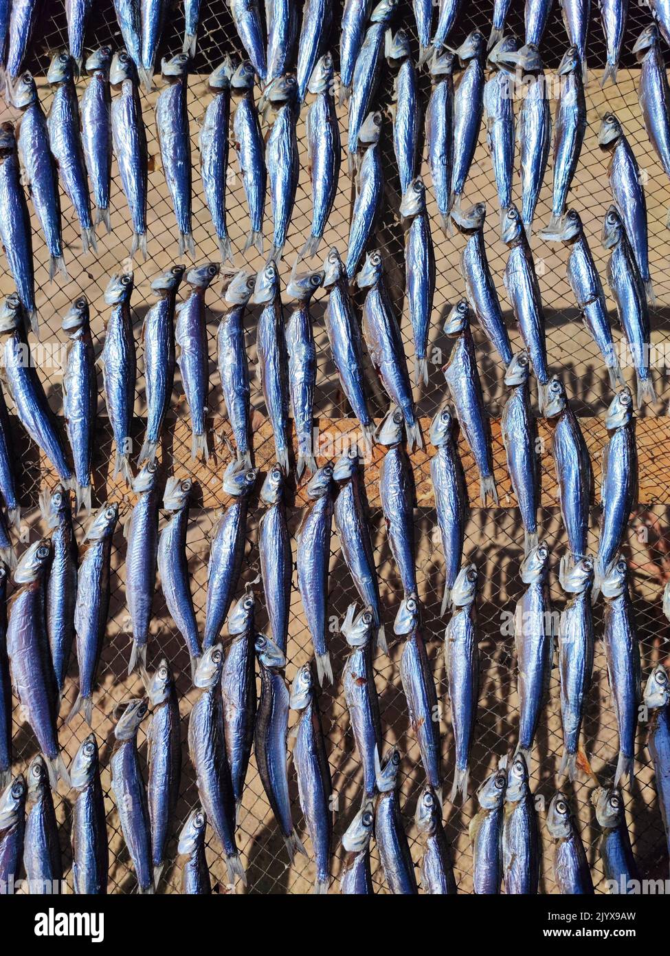 Drying on the sun hi-res stock photography and images - Alamy