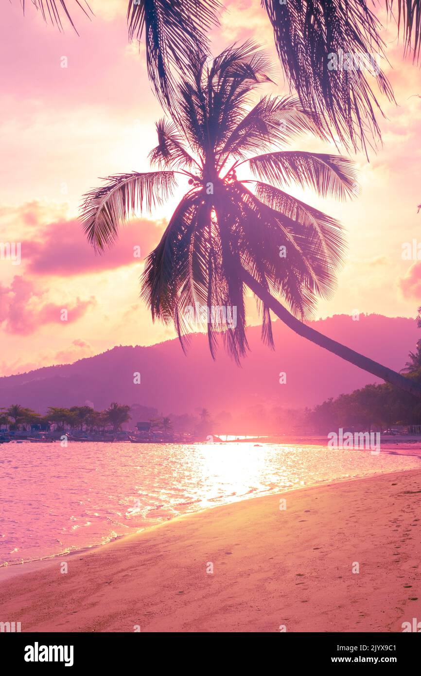 Tropical toned landscape.Coconut tree on the seashore bent over the ...