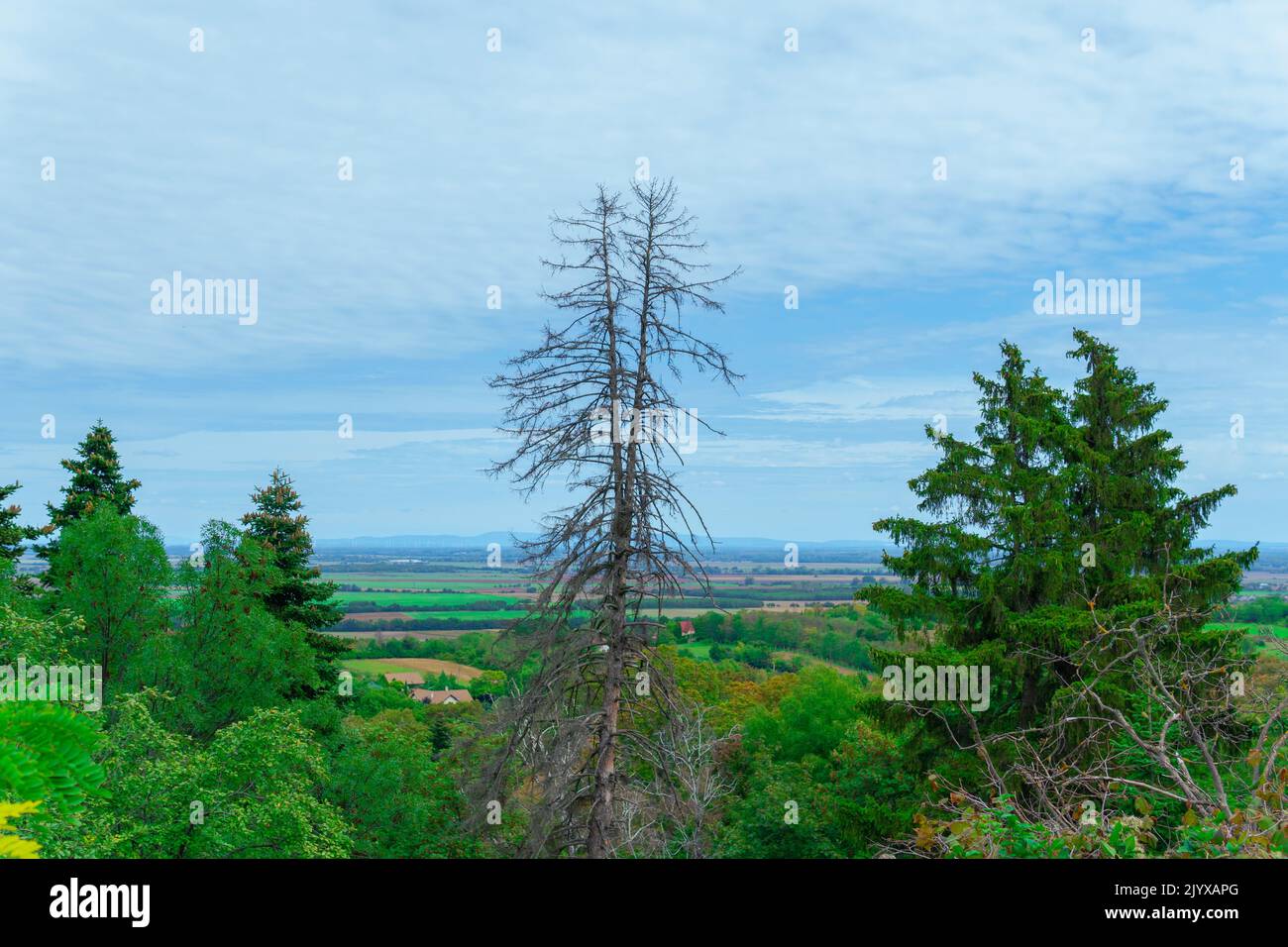 Big hill banff national park hi-res stock photography and images - Alamy