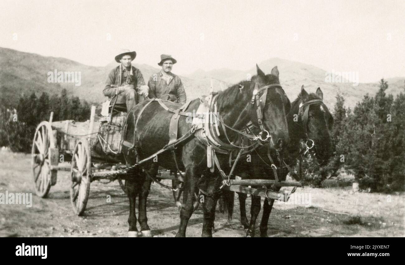 Early 1900s horse drawn cart hi-res stock photography and images - Alamy