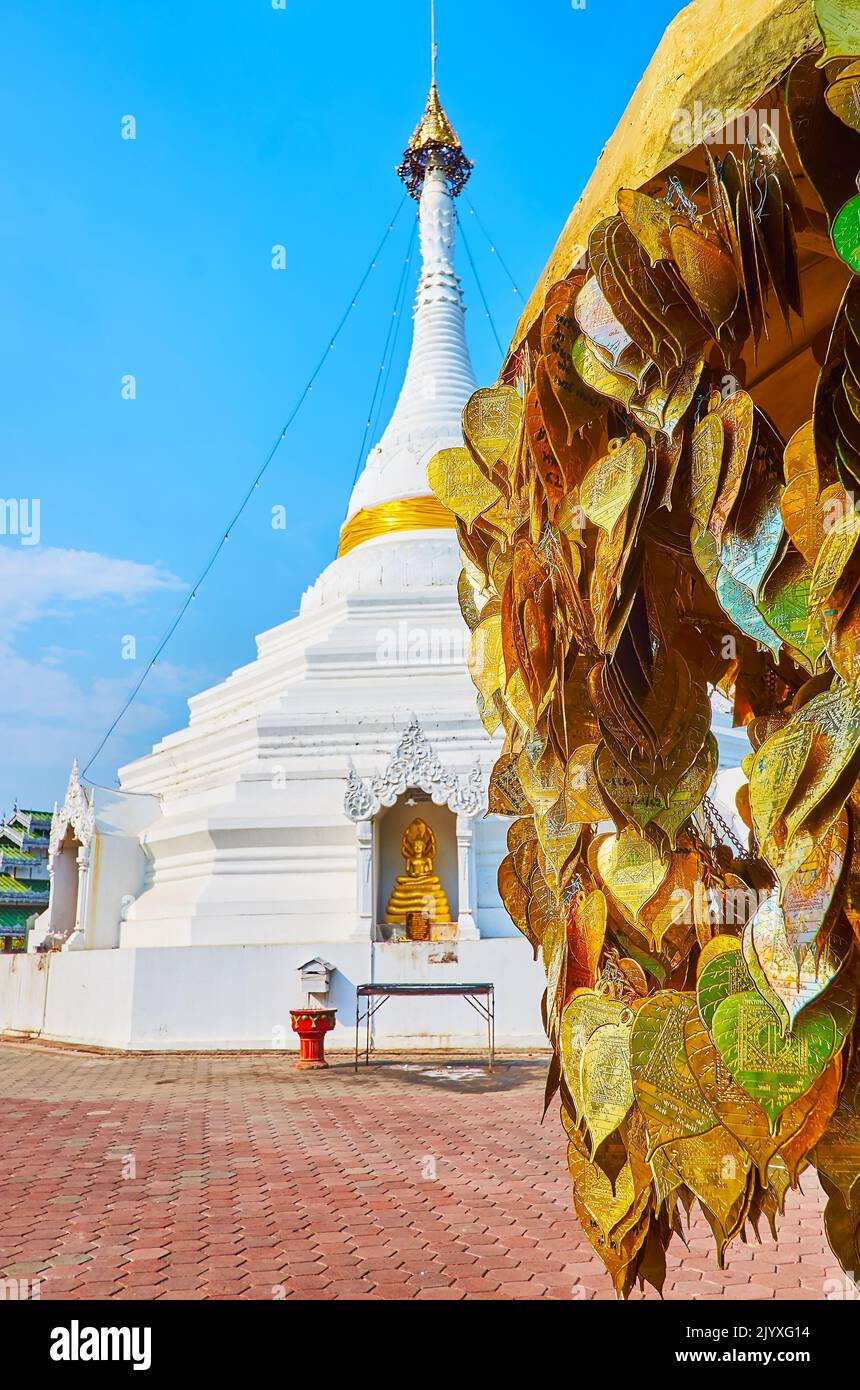Closeup golden prayer leaves of sacred Bodhi Tree in front of white ...