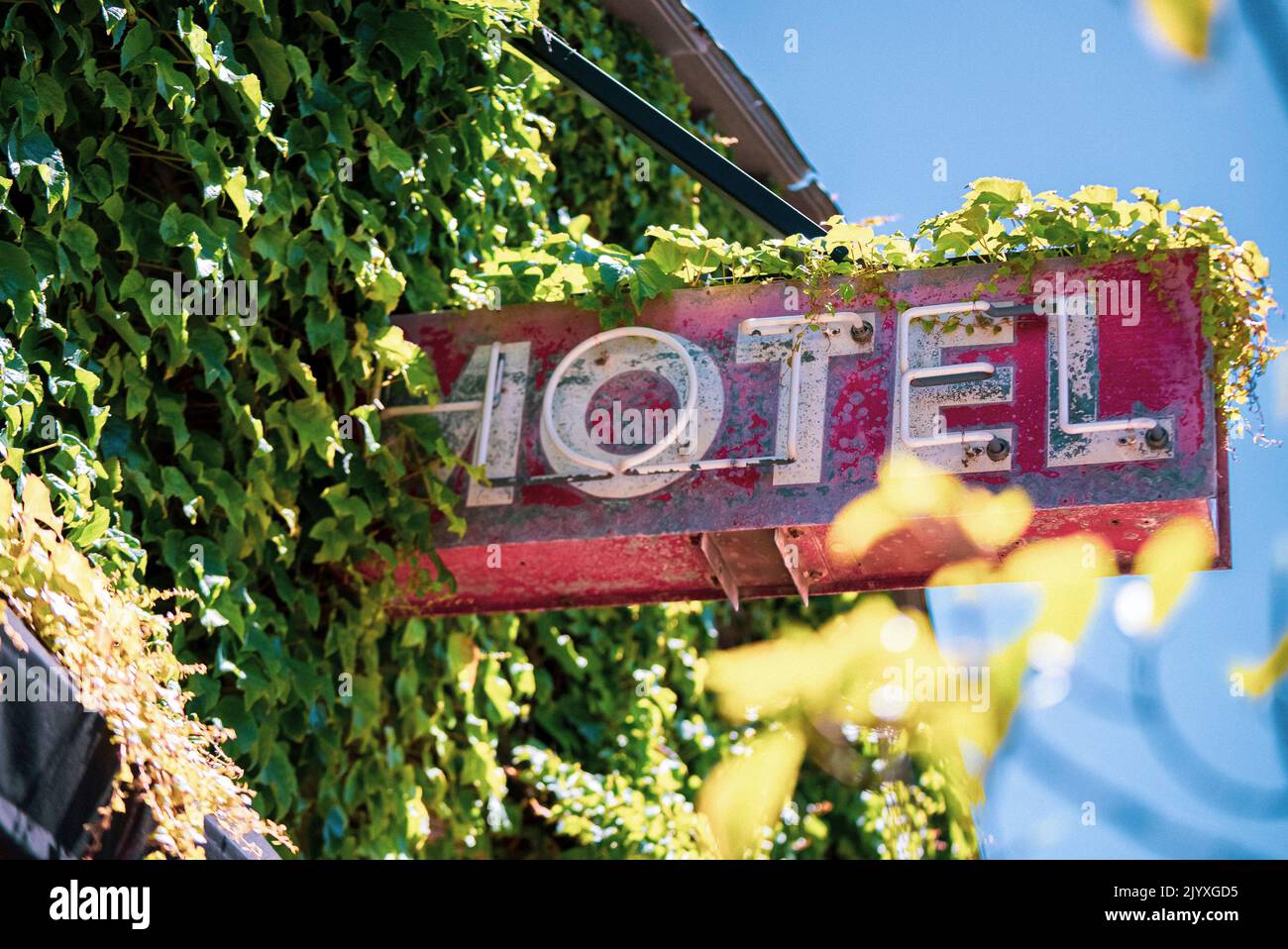 A rustic motel sign from below covered in ivy outside of downtown San ...