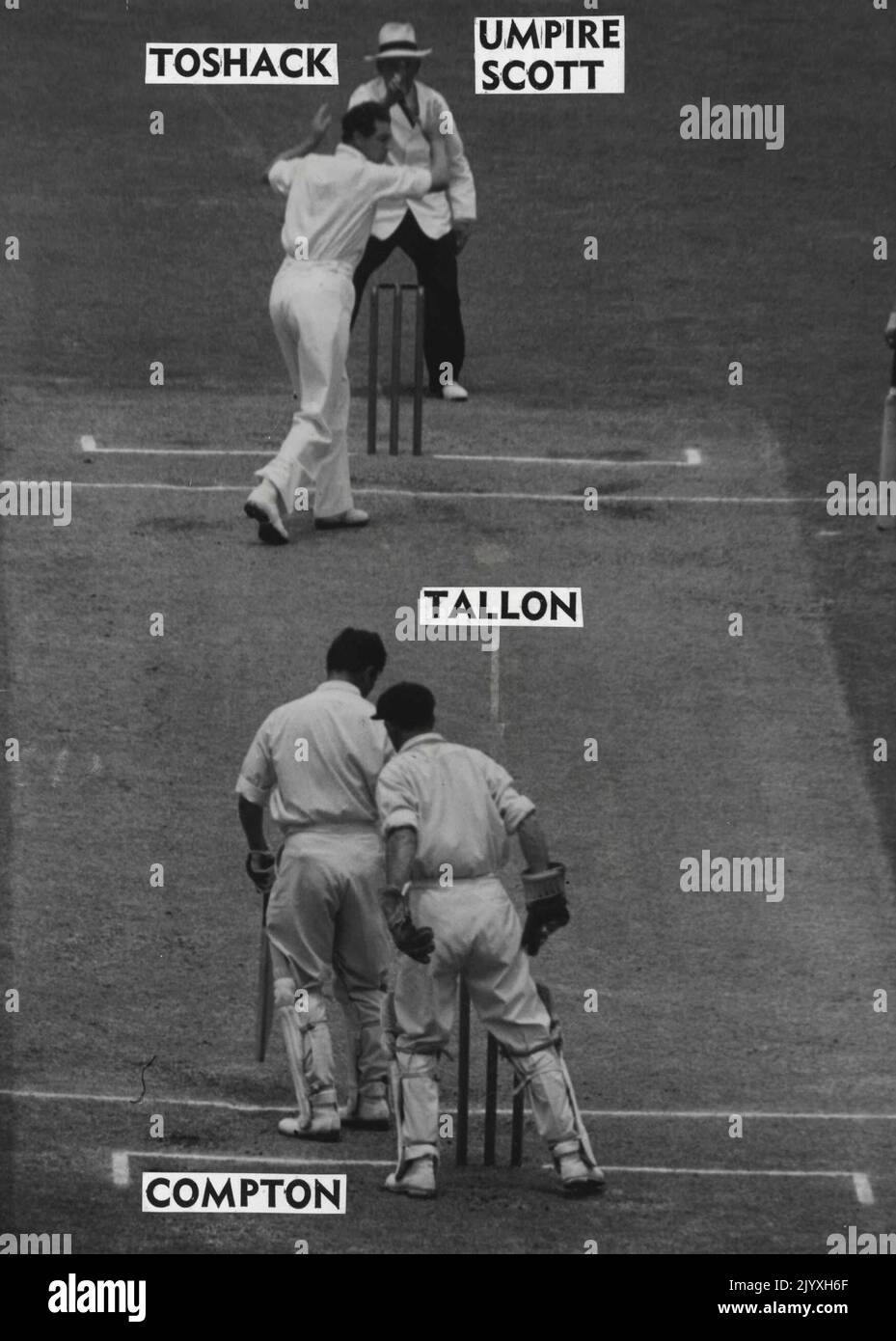 Toshack, Scott, Tallon, Compton. How Compton Was Out. Umpire Scott is ...