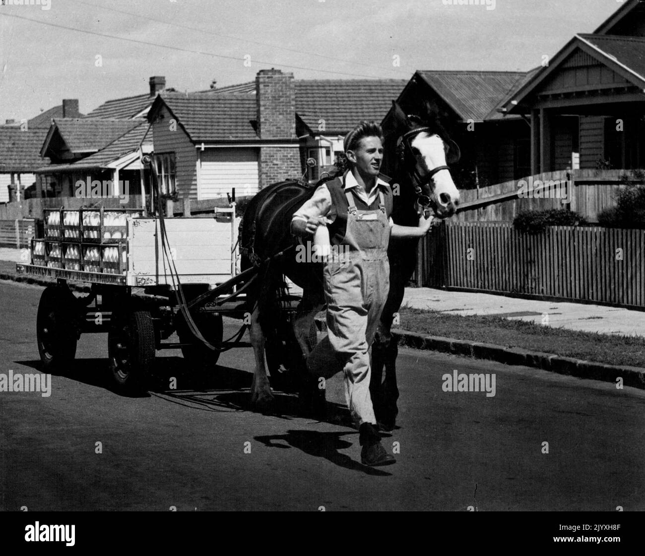 Milko australian hi-res stock photography and images - Alamy