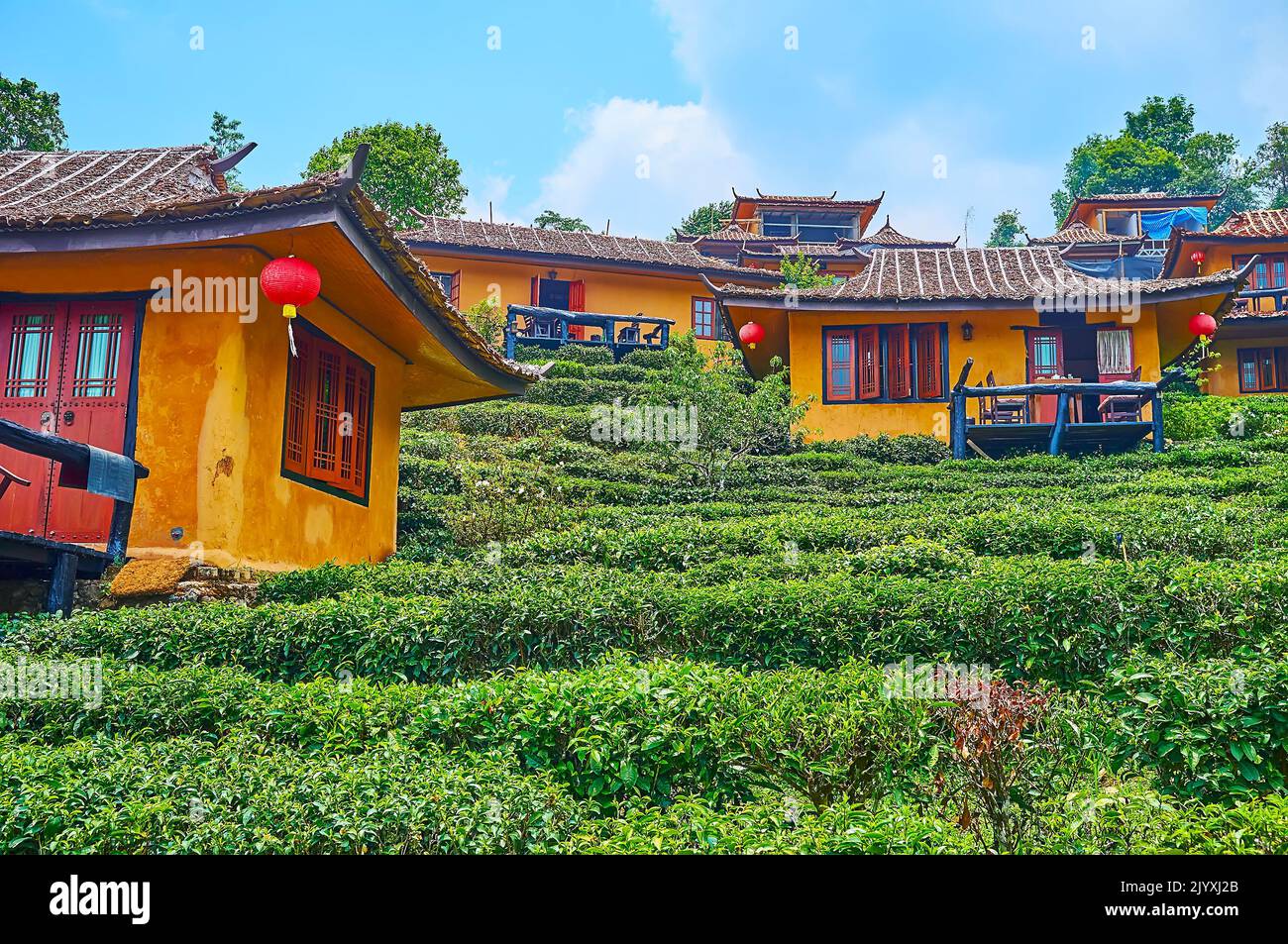 The tourist resort on tea plantation with traditional Chinese houses ...