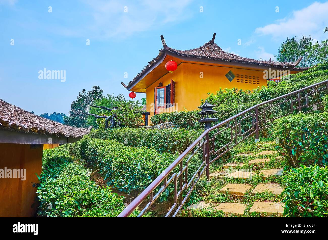The stairs amid the tea shrubs and small Chinese style houses with red ...