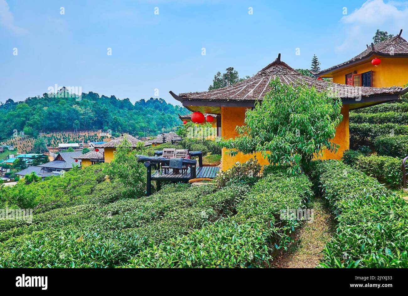 The mountain slope with tea plantation and small houses, Ban Rak Thai ...