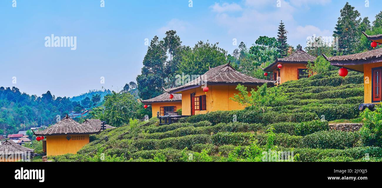 Panorama of the mountain slope with tea plantation and small houses ...