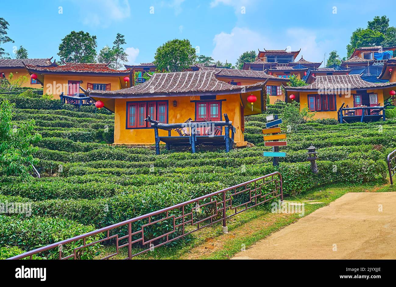 The scenic Chinese houses and terraces of green tea shrubs on the ...
