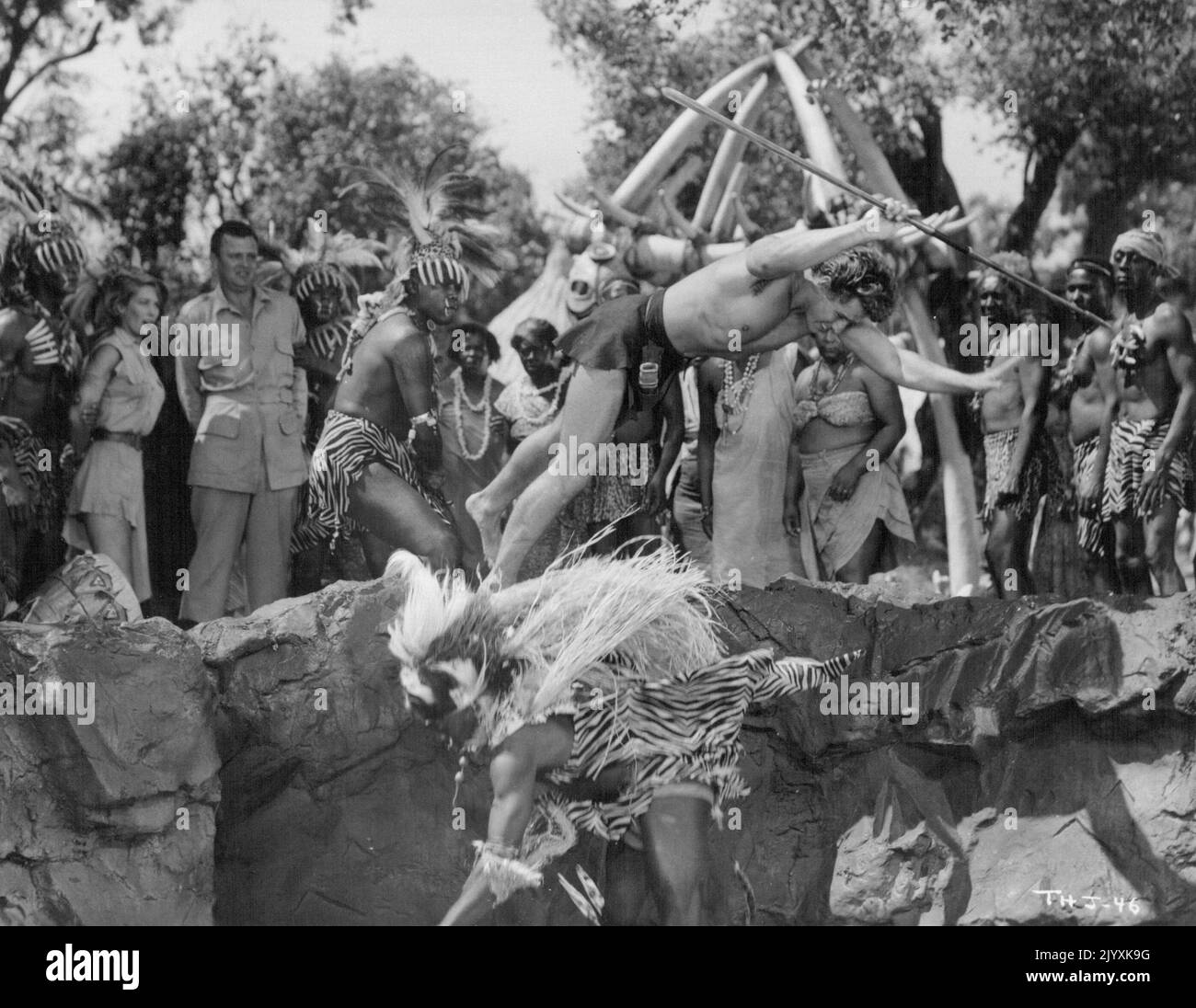 Tarzan's hidden jungle hi-res stock photography and images - Alamy