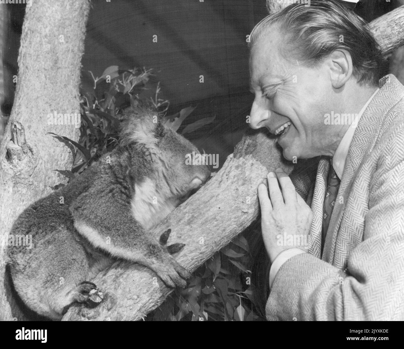Dr hans schmidt isserstedt hi-res stock photography and images - Alamy