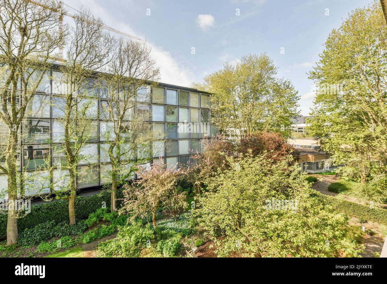 View of street near building with beauty of vegetation outside Stock ...