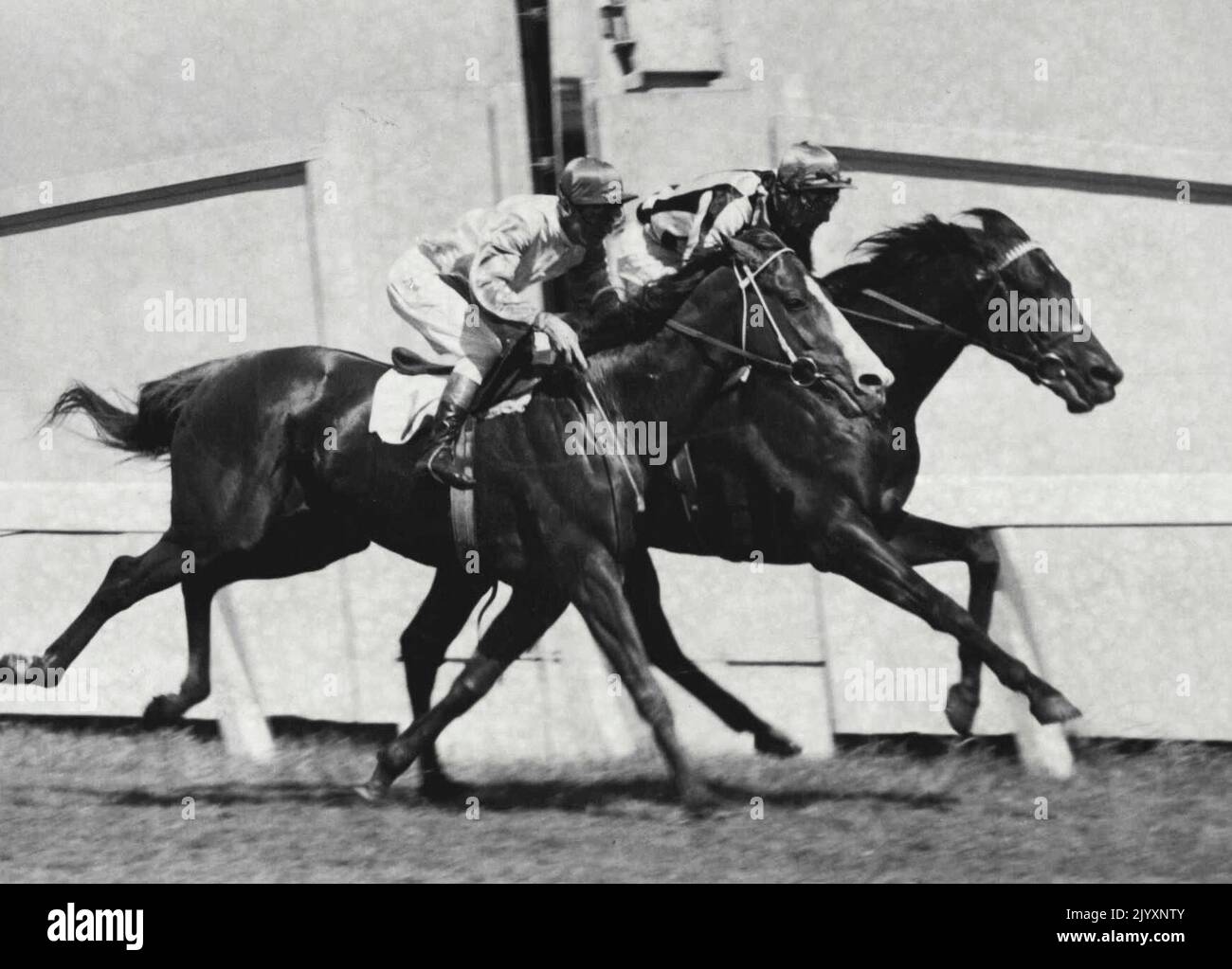 Hydrogen loading aldershot in ***** fisher plate. November 13, 1952 ...