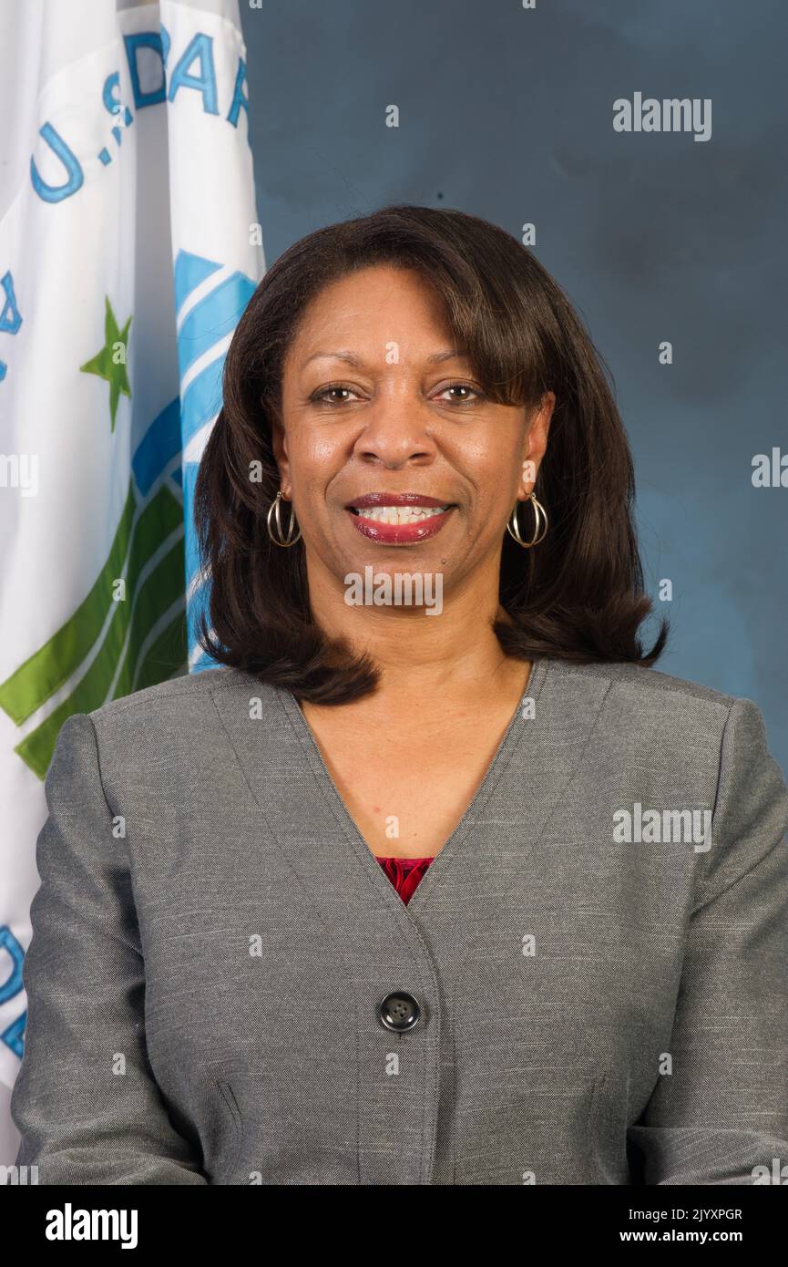 Human capital development hi-res stock photography and images - Alamy