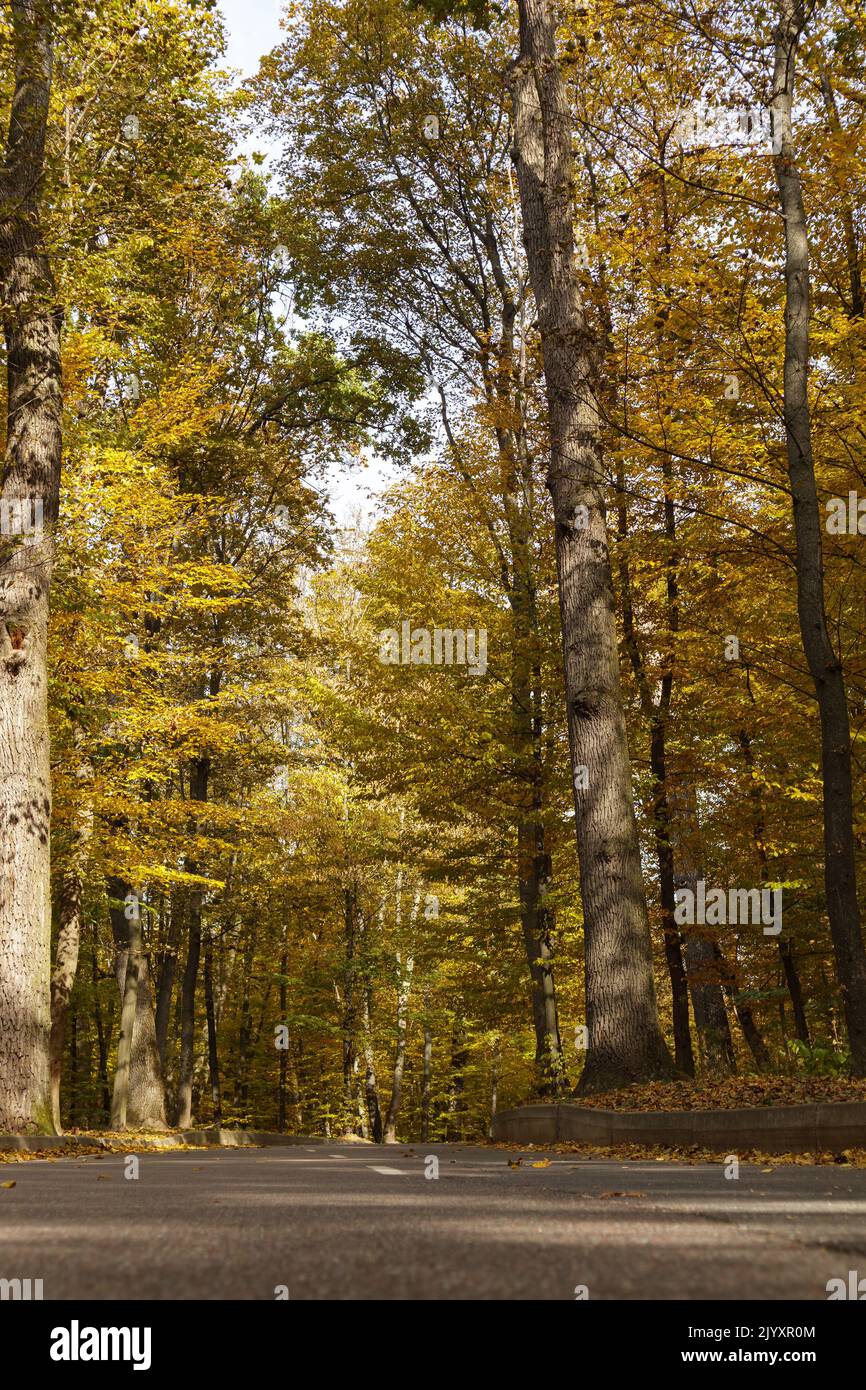 Littered field hi-res stock photography and images - Alamy