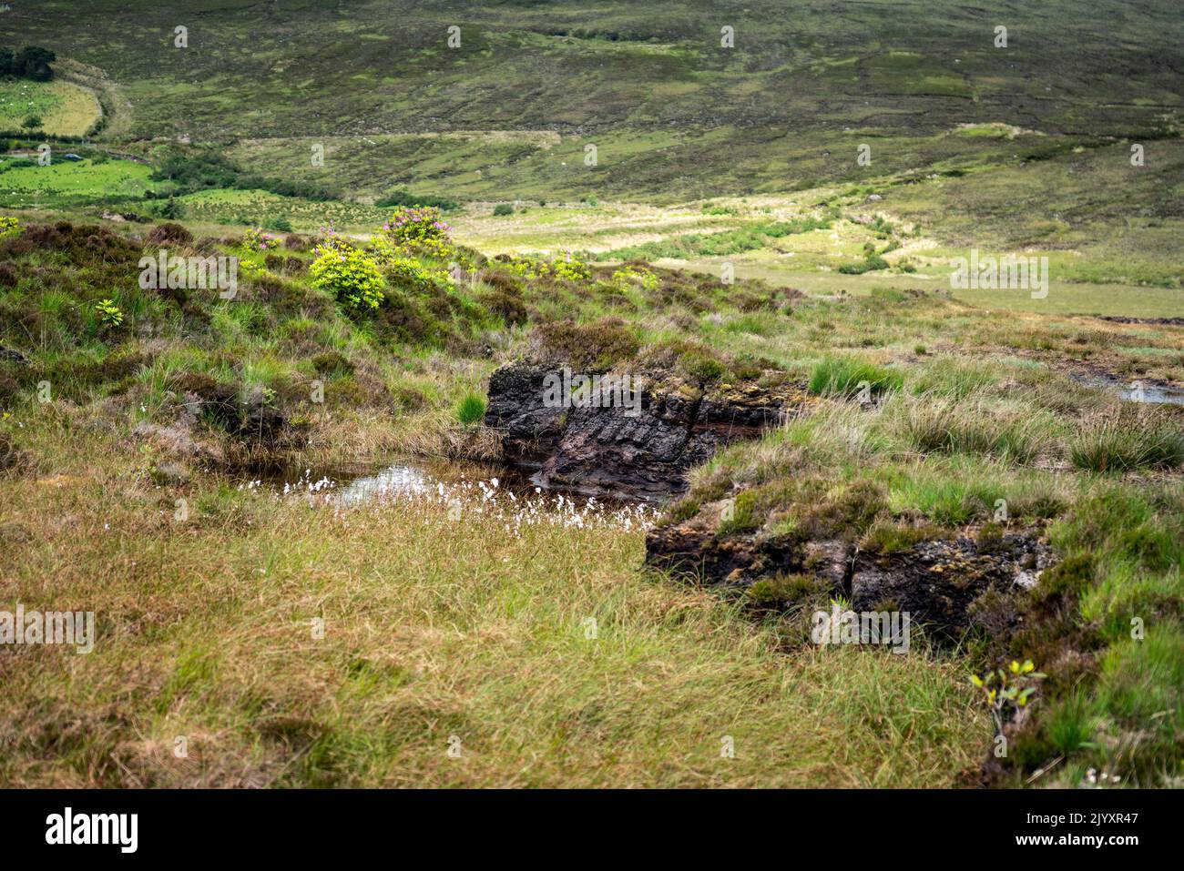 Traces of peat extraction on Irish peatland. In rural Ireland a lot of ...