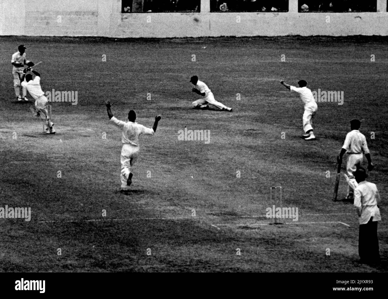 Ron archer hi-res stock photography and images - Alamy