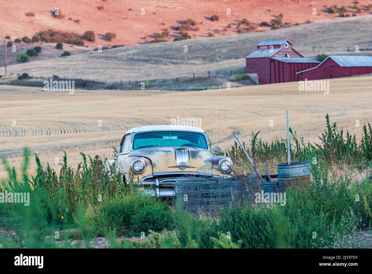 USA, Washington State, Whitman County. Palouse. September 6, 2021. 1954 ...