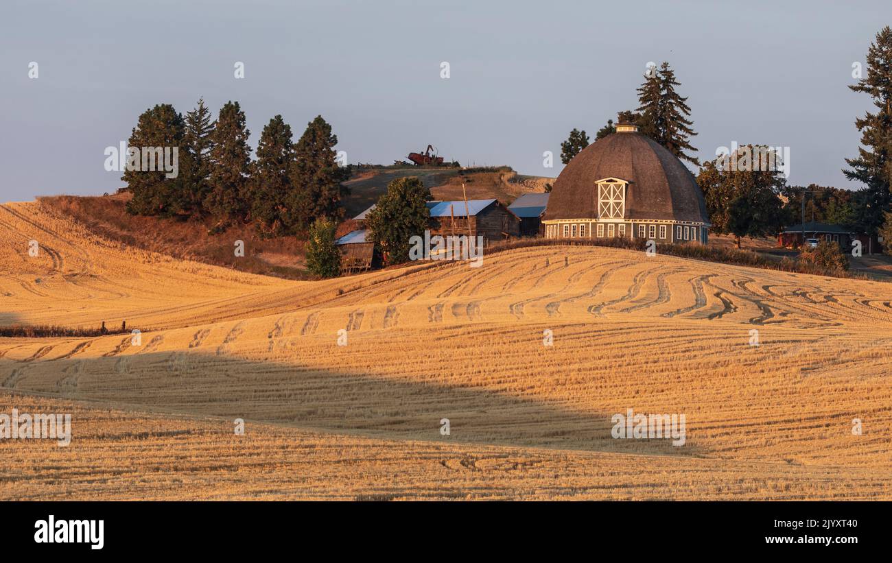 USA, Washington State, Whitman County. Palouse. Pullman. September 7 ...