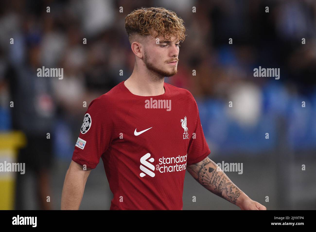 Naples, Italy. 7 Sep, 2022. Harvey Elliott of Liverpool FC during the ...