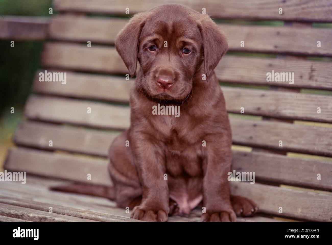 Lab bench hi-res stock photography and images - Alamy