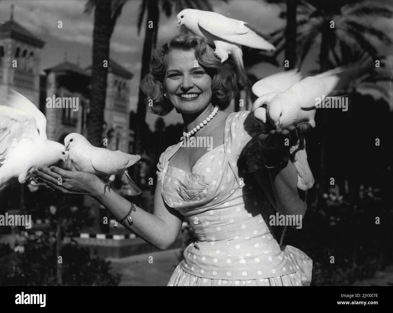 Vintage photo of doves hi-res stock photography and images - Alamy