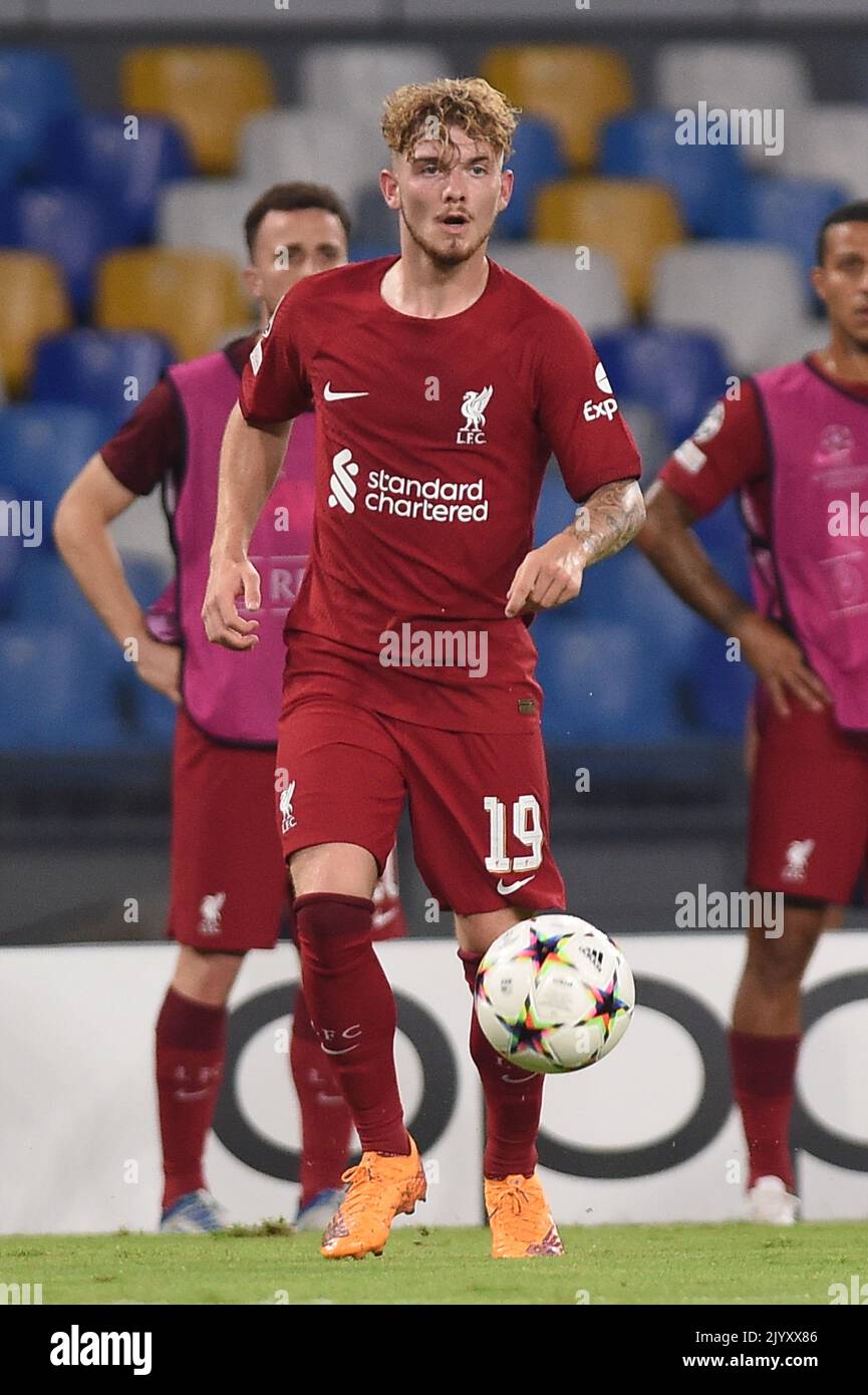 Naples, Italy. 7 Sep, 2022. Harvey Elliott of Liverpool FC during the ...