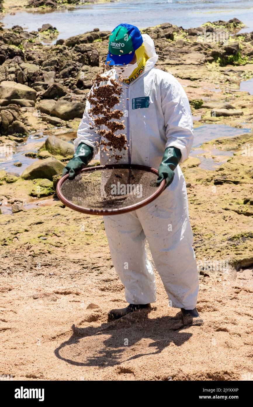 Cleaning agents extract oil from Pedra do Sal beach in the city of ...