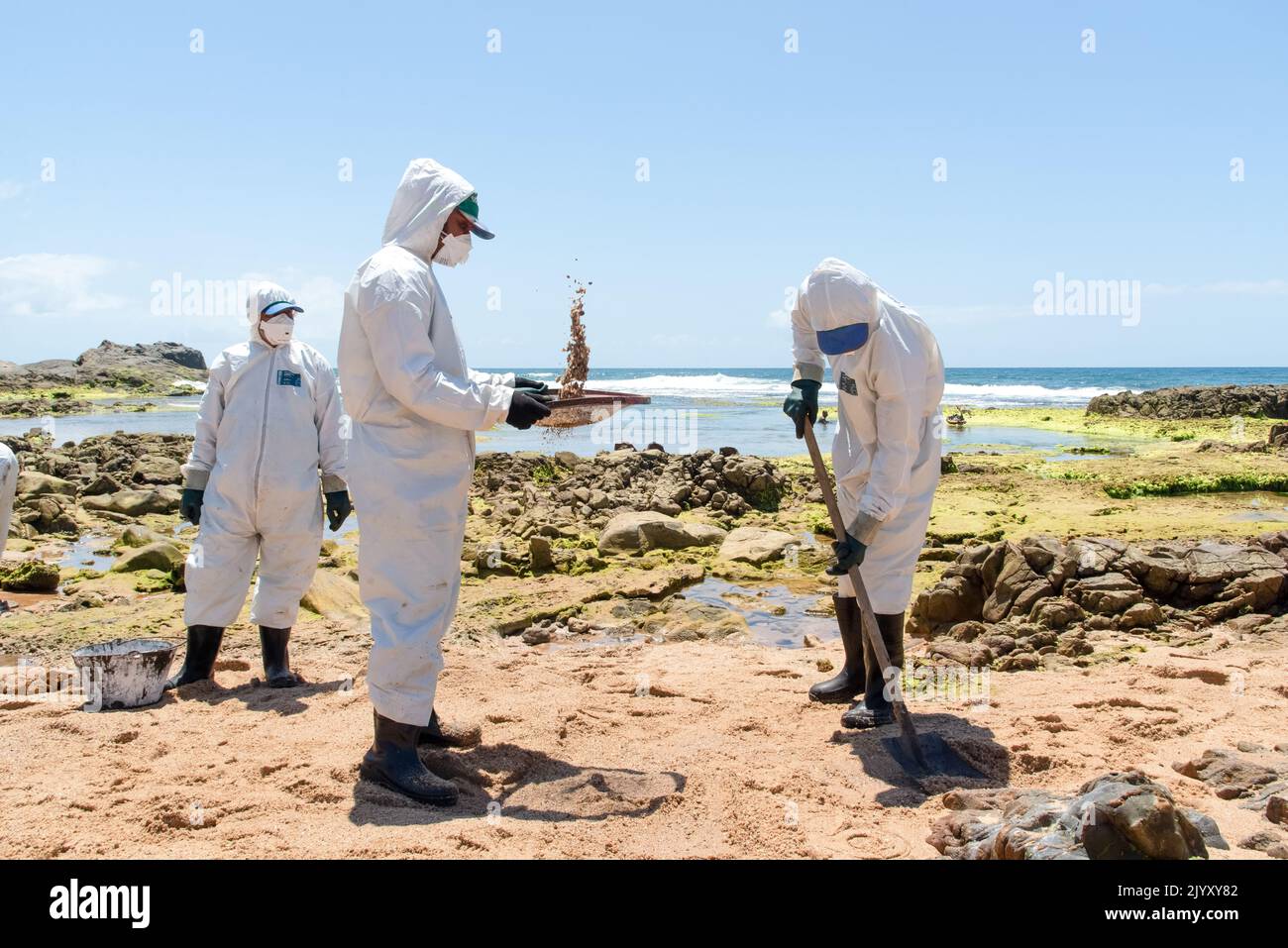 Cleaning agents extract oil from Pedra do Sal beach in the city of ...