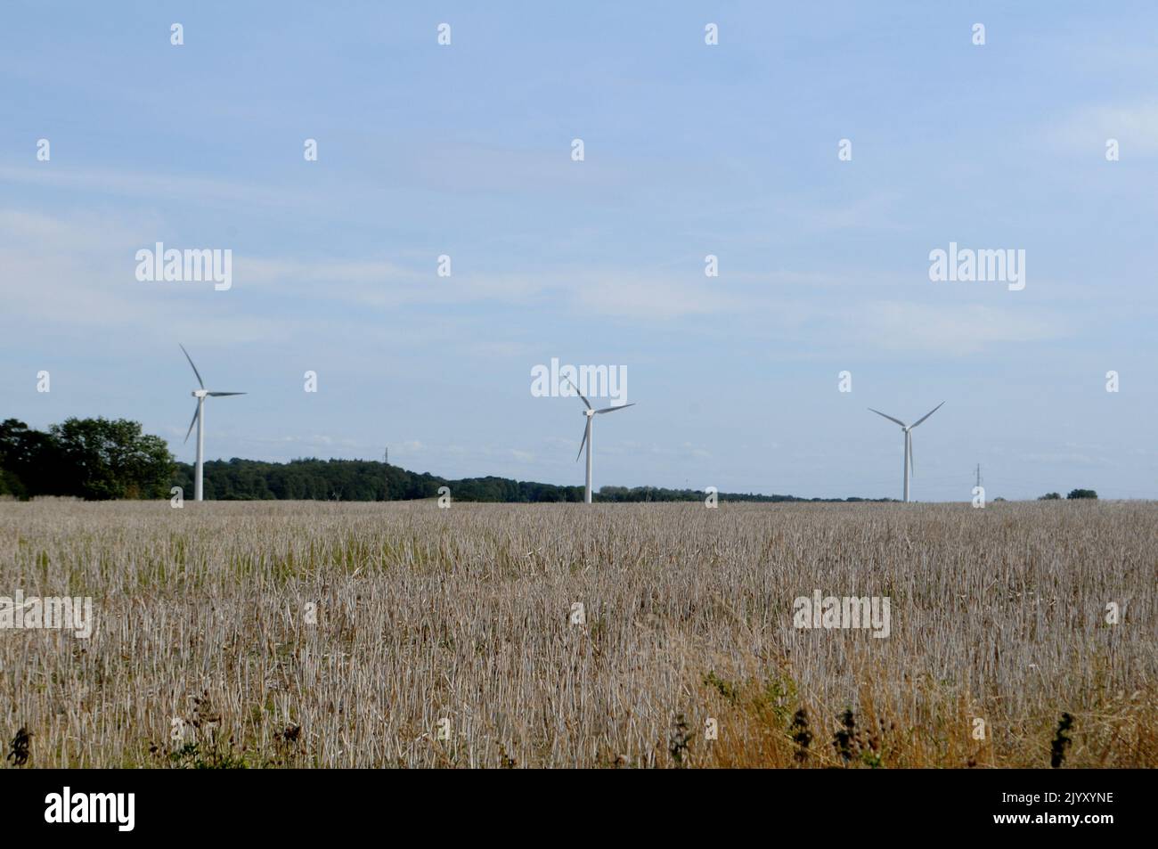 Jyderup /Denmark/08 September 2022/Wind turbines green eneregy in ...