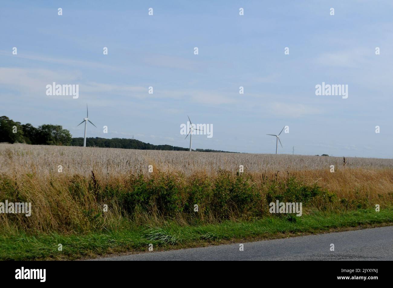 Jyderup /Denmark/08 September 2022/Wind turbines green eneregy in ...