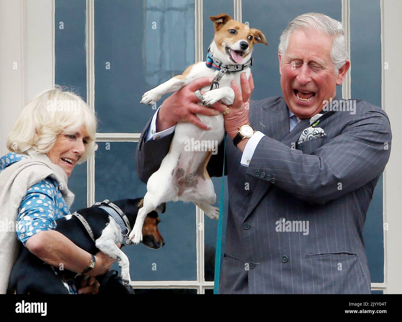 Camilla dog beth hi-res stock photography and images - Alamy