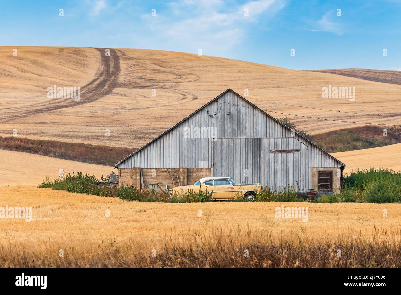 USA, Washington State, Whitman County. Palouse. September 6, 2021. 1954 ...